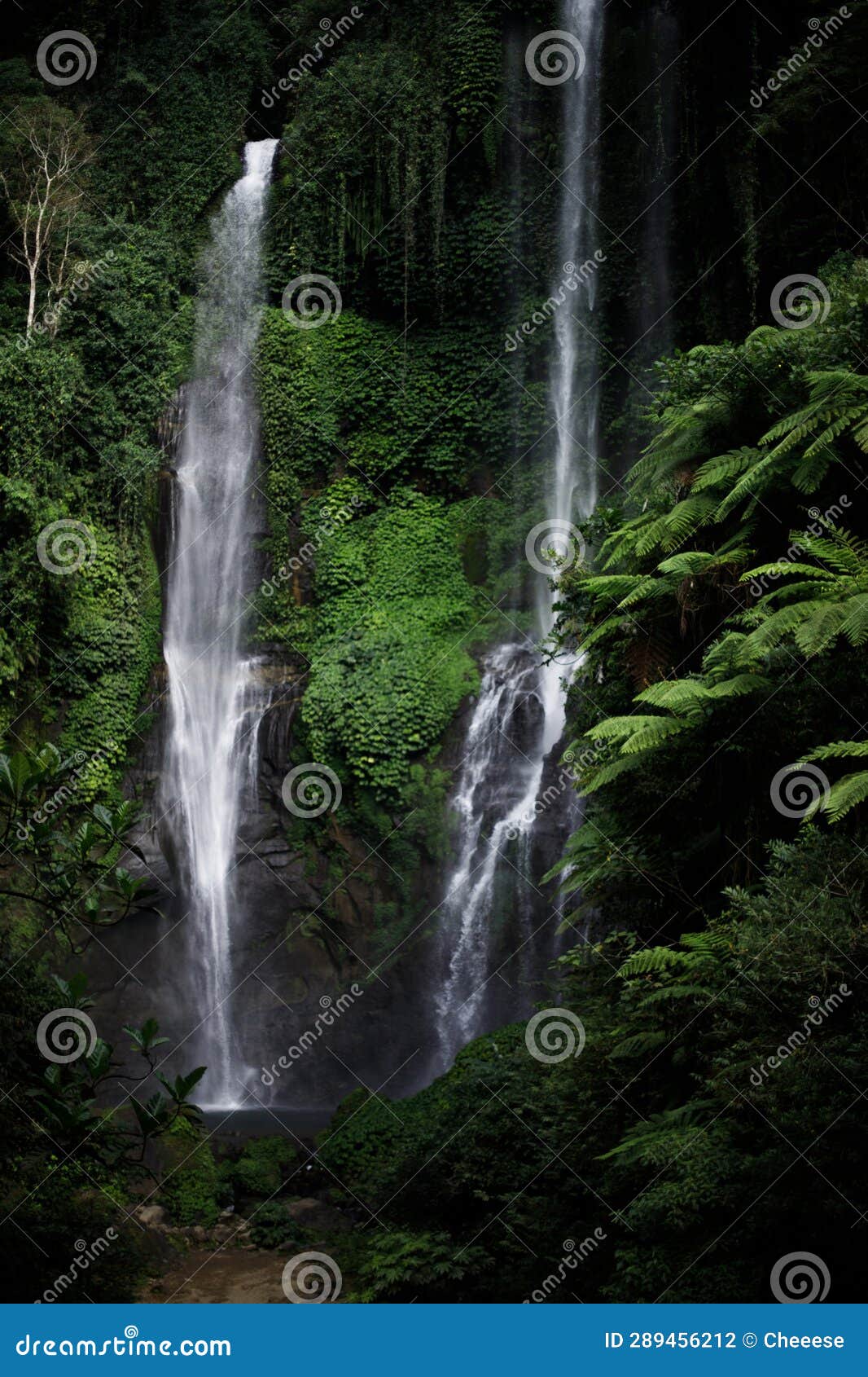 View of Jungle Waterfall Cascade in Tropical Rainforest Stock Photo ...
