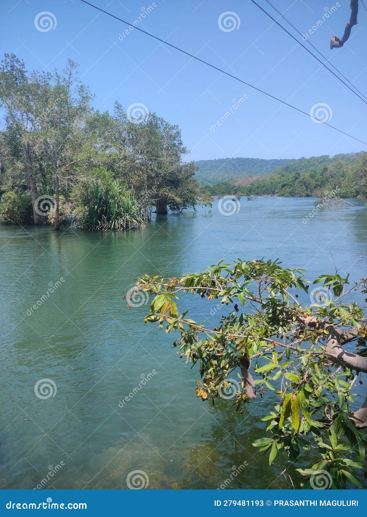 View of Kali River or Kali Nadi River at Dandeli. Stock Image - Image ...