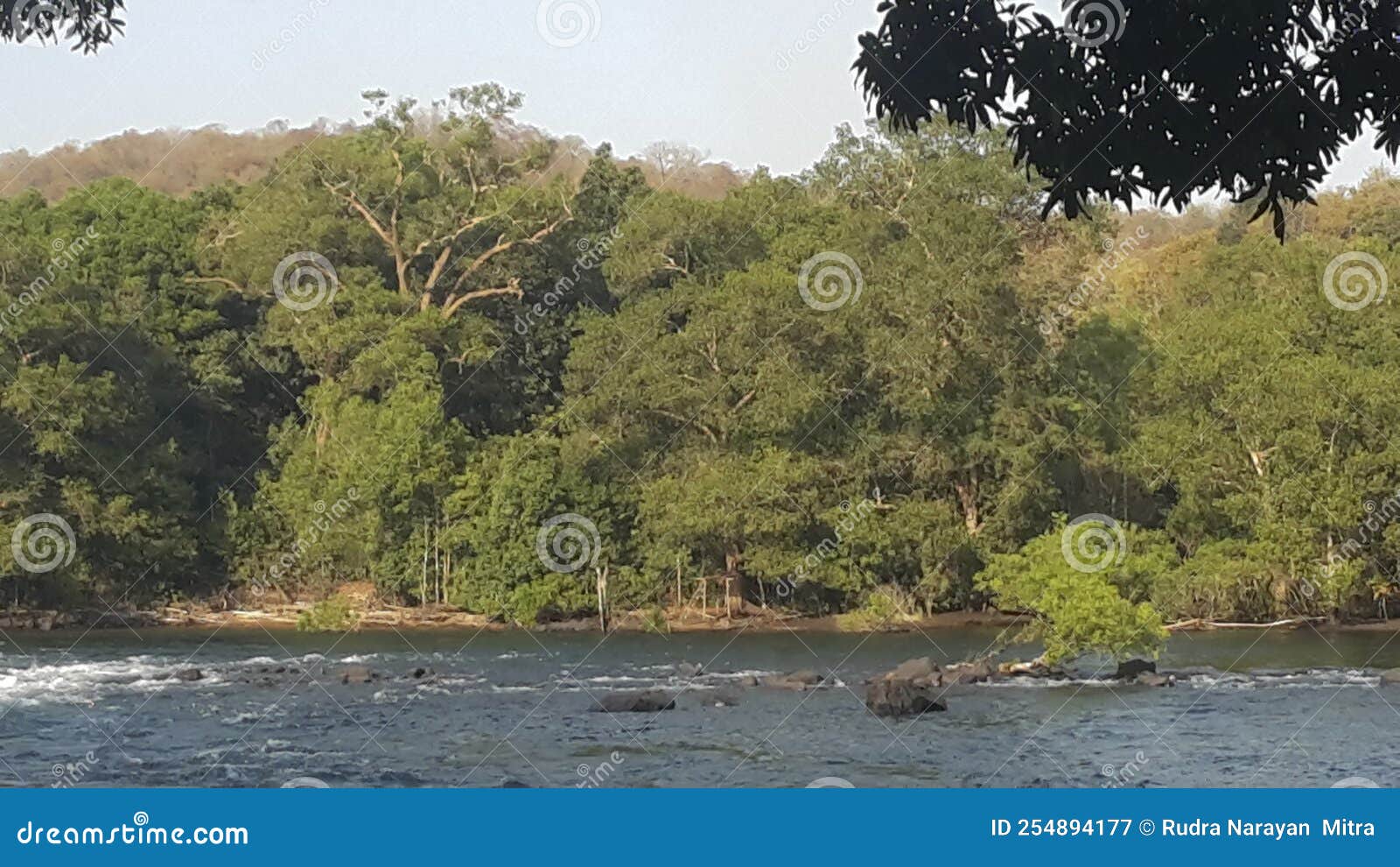 View of Kali River or Kali Nadi River, Dandeli, Karnataka, India Stock ...