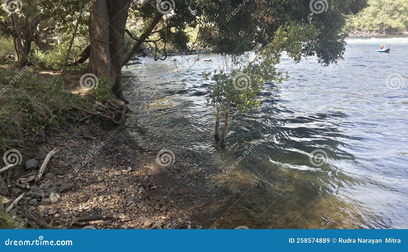 View of Kali River, or Kali Nadi River at Dandeli, Karnataka, India ...