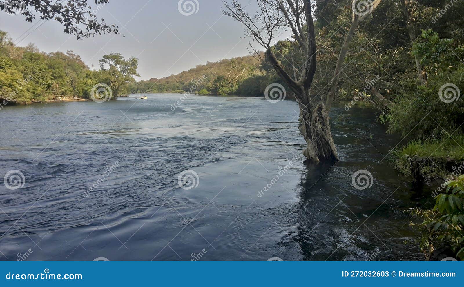 View of Kali River or Kali Nadi River at Dandeli, Karnataka, India ...