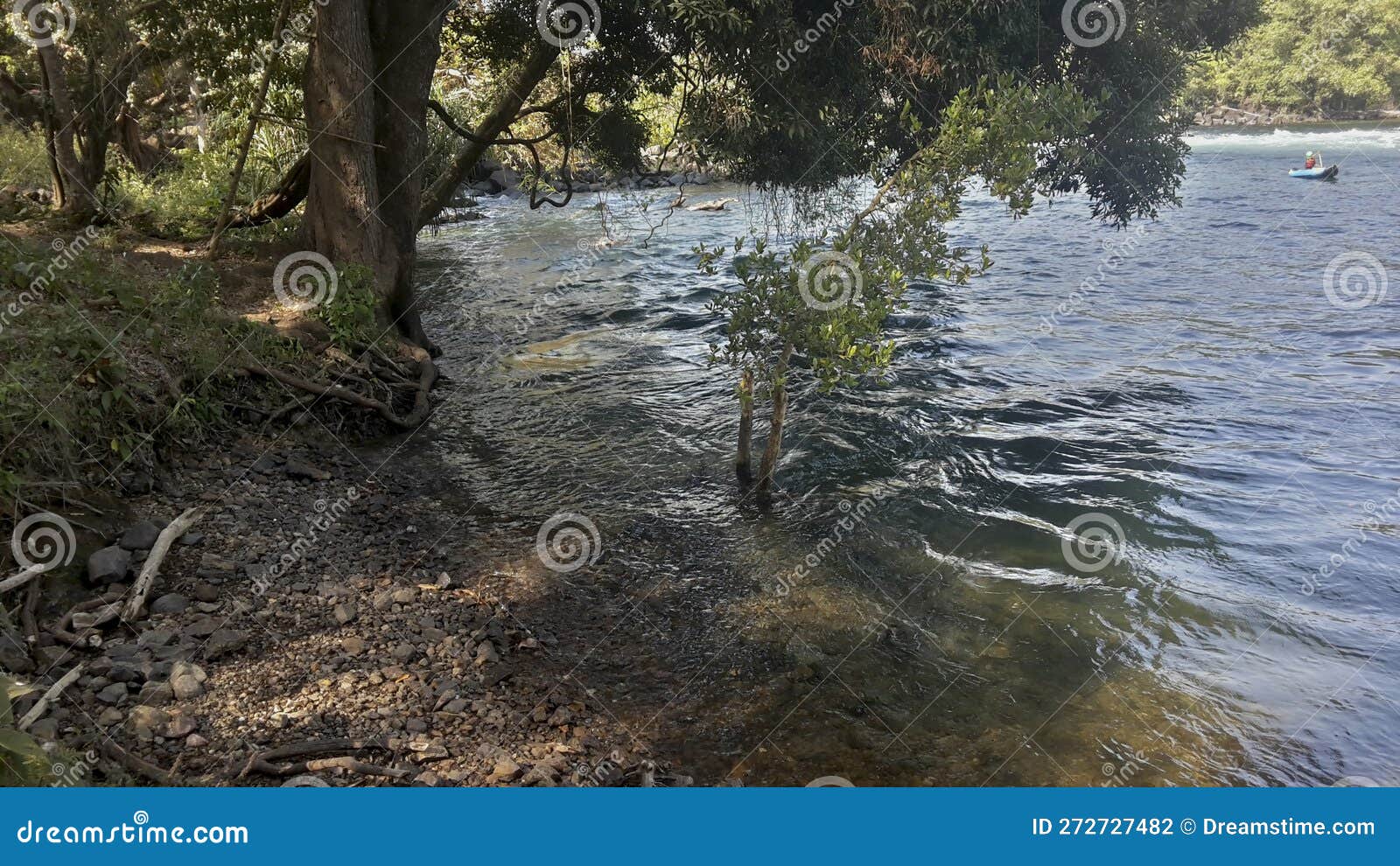 View of Kali River or Kali Nadi River at Dandeli, Karnataka, India ...