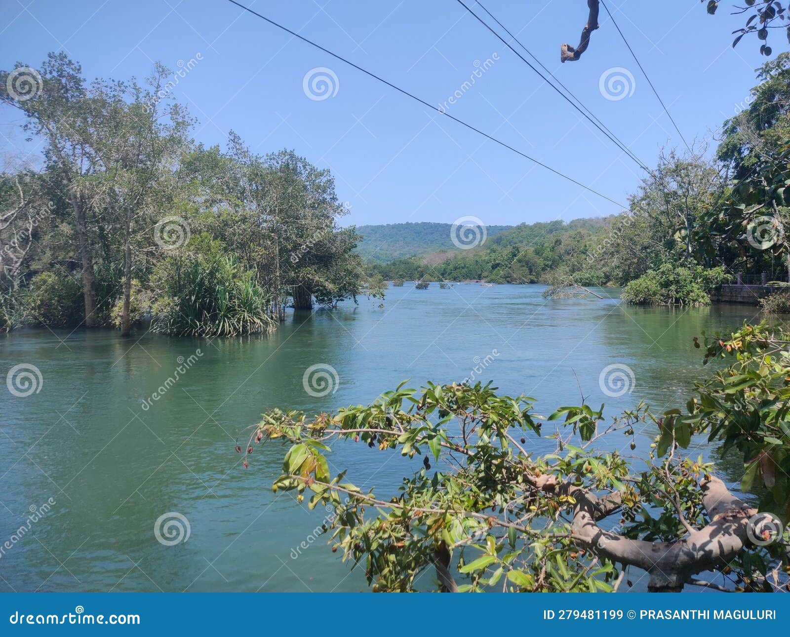 View of Kali River or Kali Nadi River at Dandeli... Stock Image - Image ...