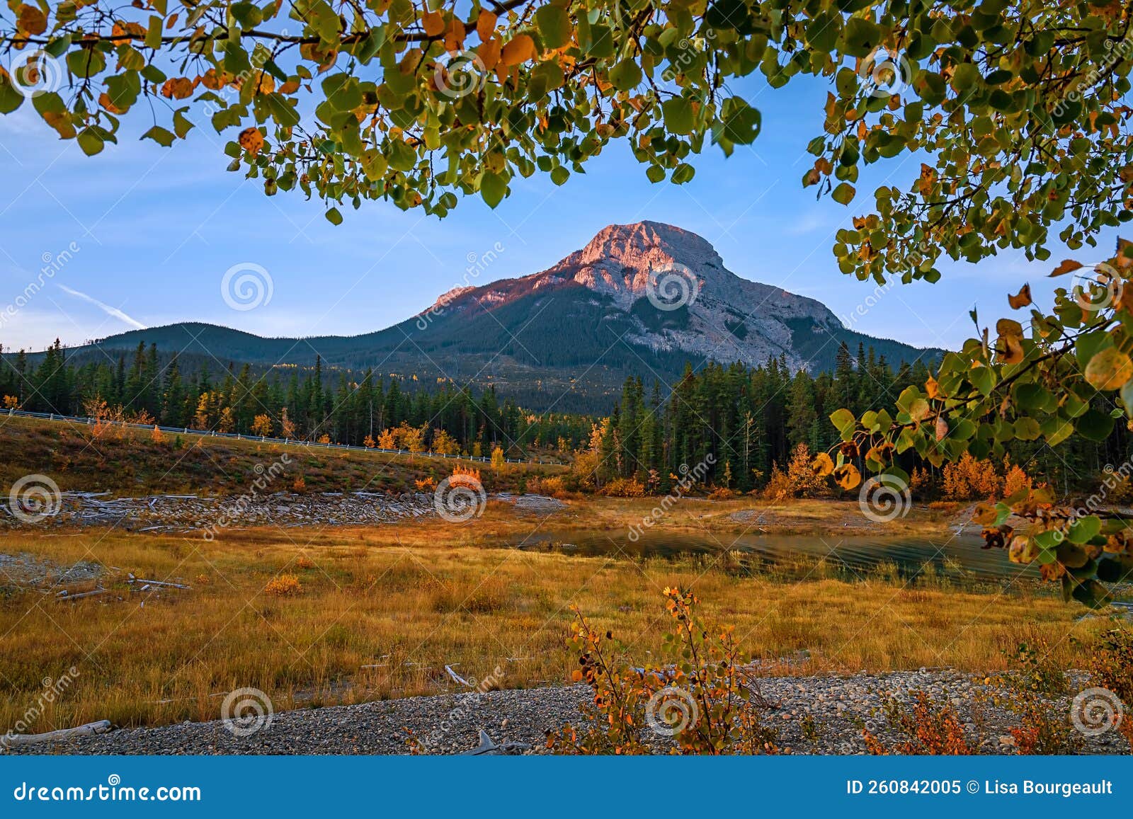 Fall Leaves Over Kananaskis Mountains Stock Image - Image of alberta ...