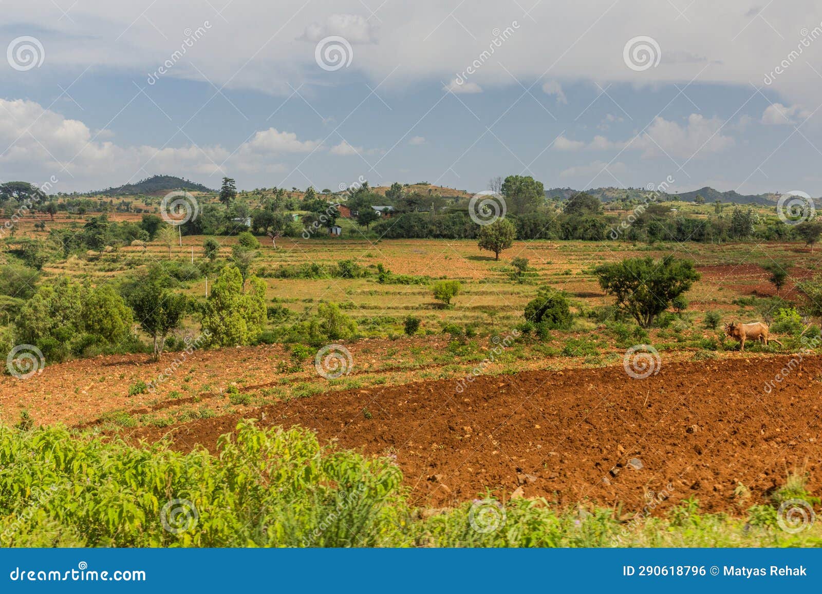 View of Konso Landscape, Ethiop Stock Photo - Image of wilderness ...