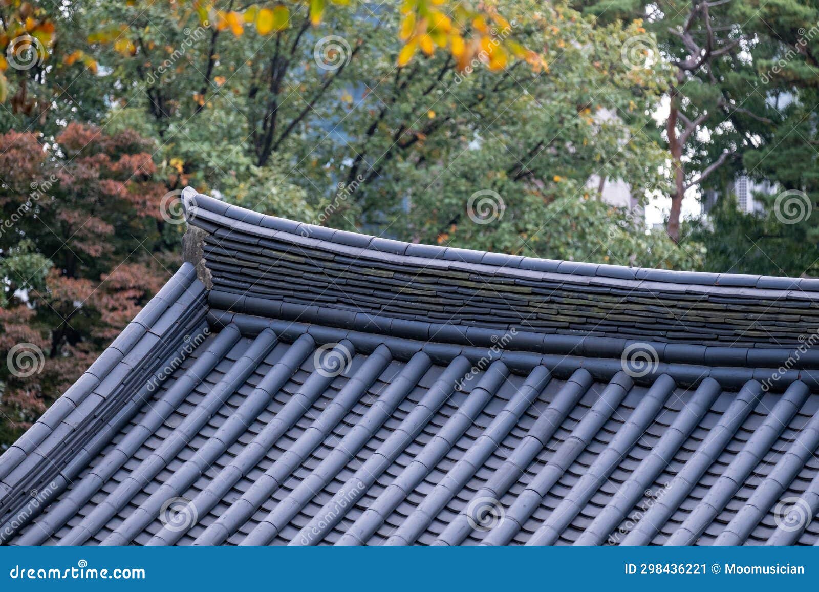 Korean Style Traditional Roof Stock Image - Image of branch, december ...