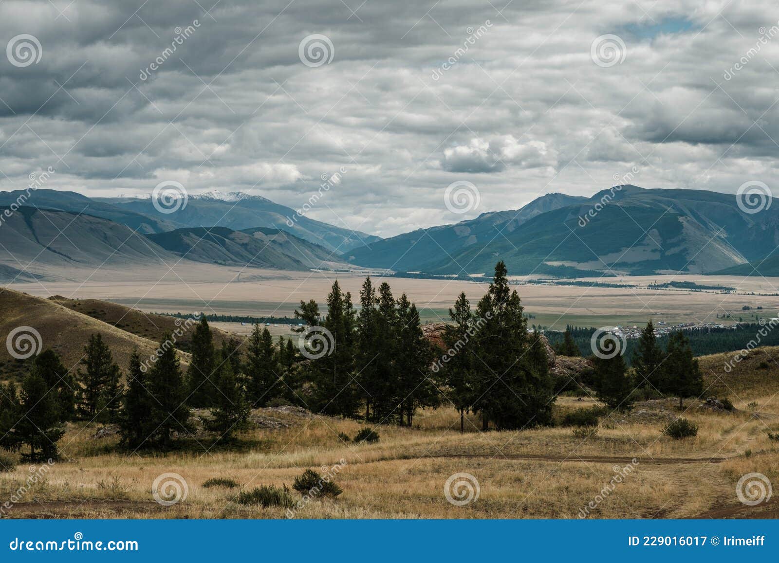 View of the Kurai Steppes in the Altai Mountains Stock Image - Image of ...
