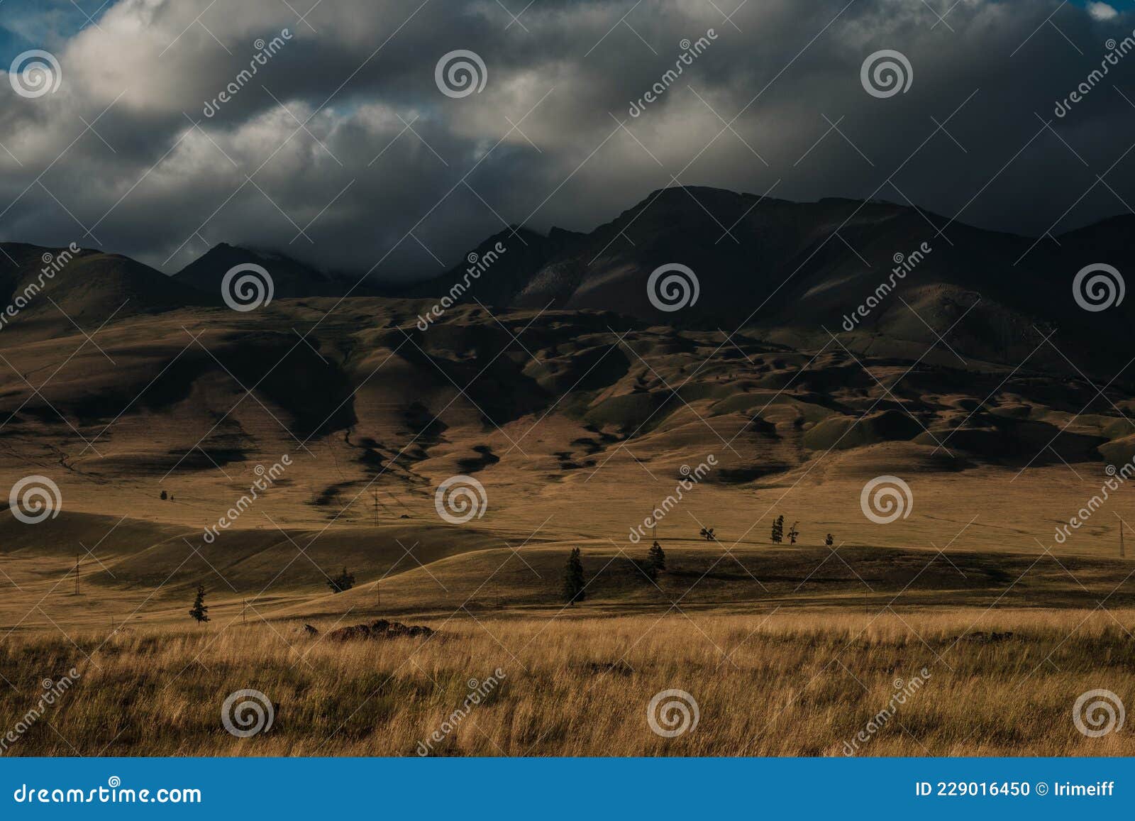 View of the Kurai Steppes in the Altai Mountains Stock Photo - Image of ...
