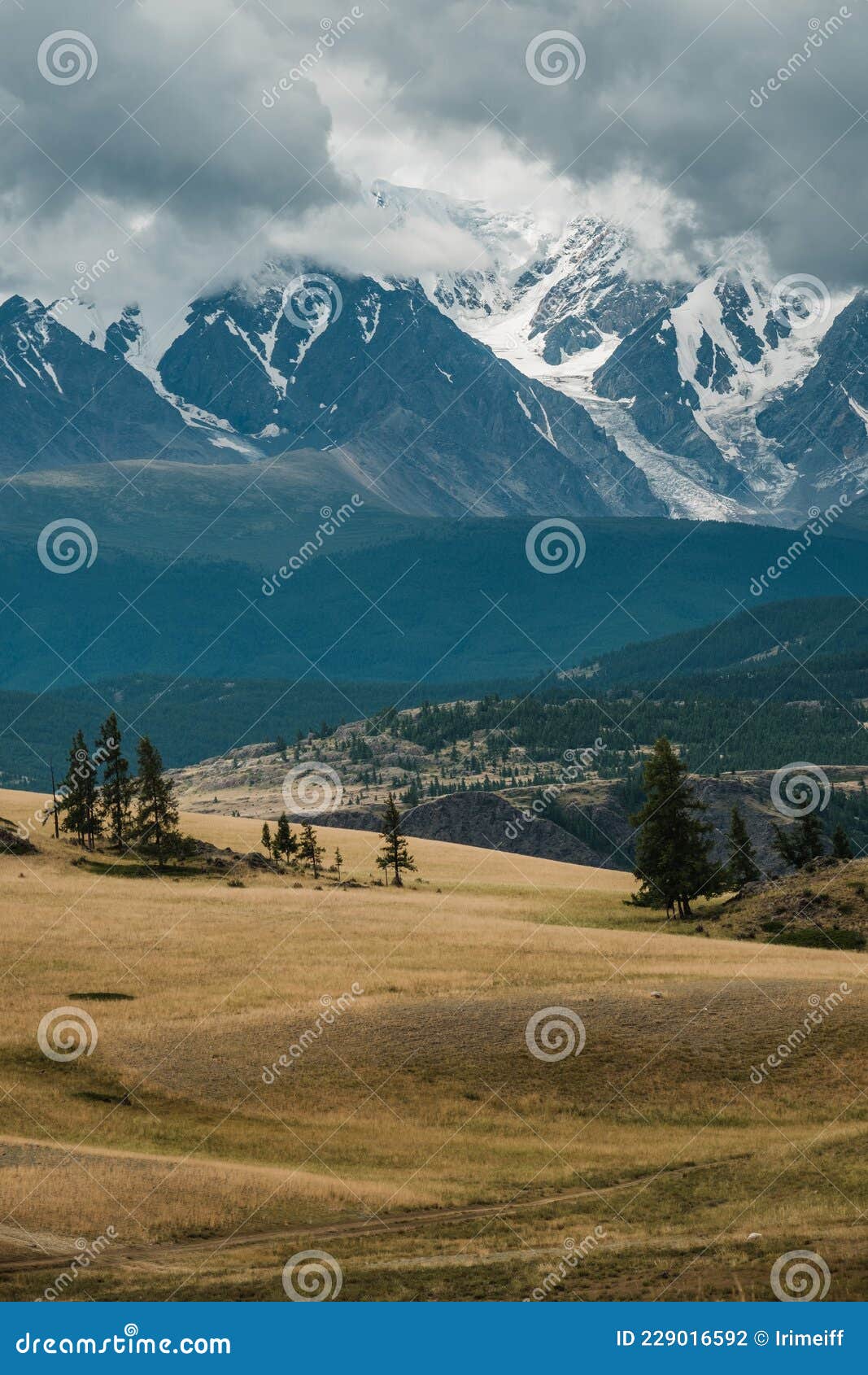 View of the Kurai Steppes in the Altai Mountains Stock Photo - Image of ...