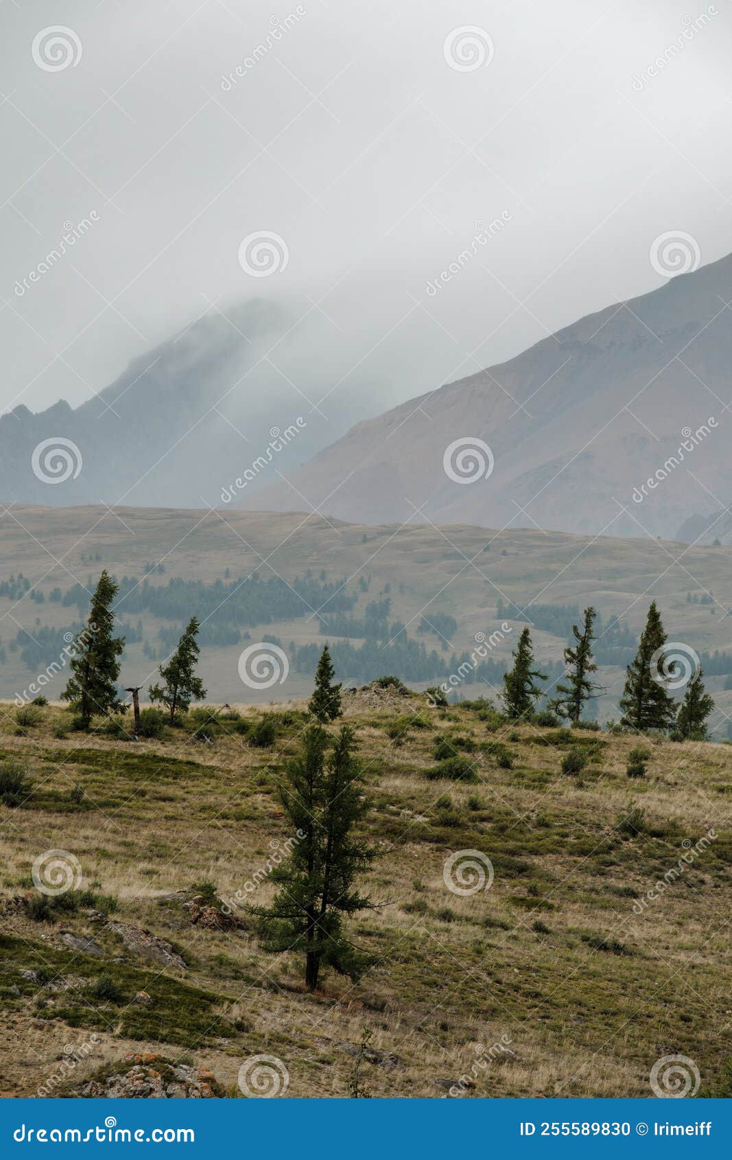 View of the Kurai Steppes on Chuisky Trakt in the Altai Mountains Stock ...