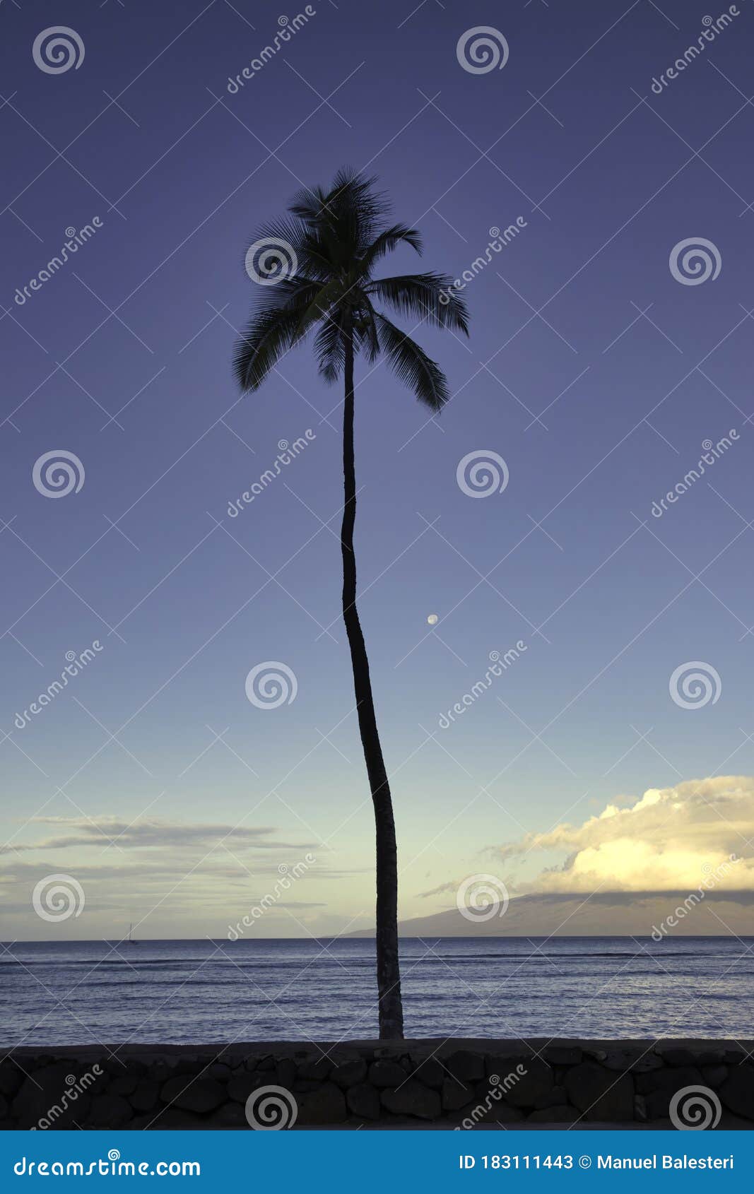View from Lahaina Out To the Ocean, a Palm Tree, and Lanai. Stock Image ...