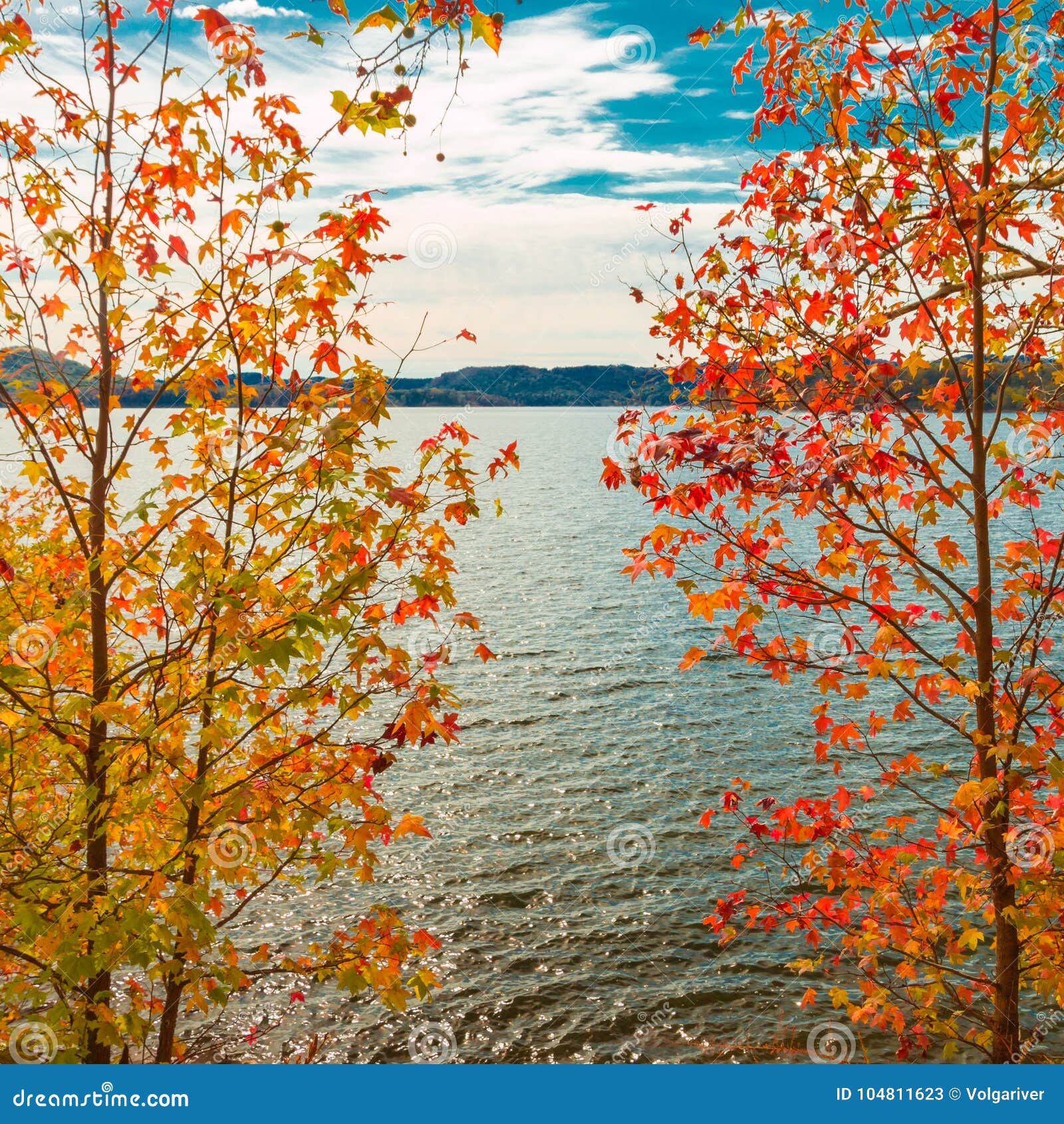 View of Lake through Beautiful Autumn Maple Trees. Stock Image - Image ...