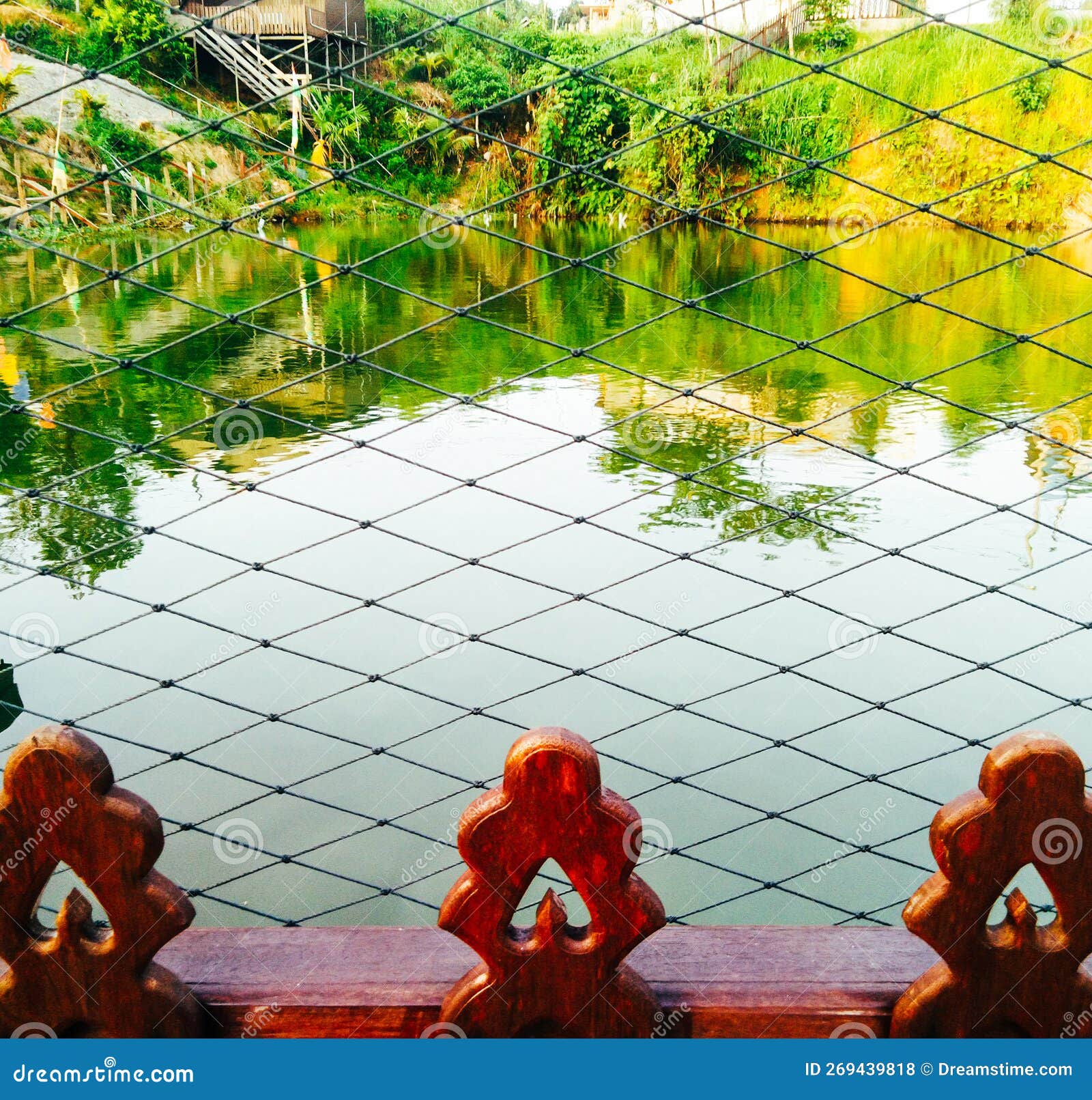 View of the Lake from Behind the Fence Stock Photo - Image of jungle ...