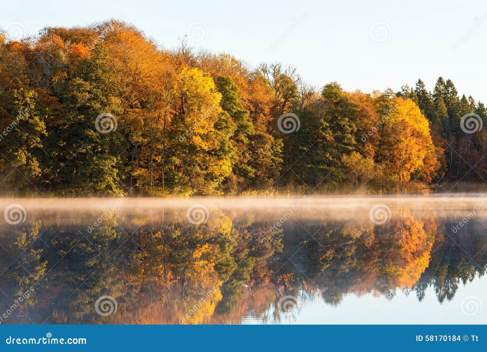 View of the Lake with Deciduous Forest in Fall Stock Photo - Image of ...