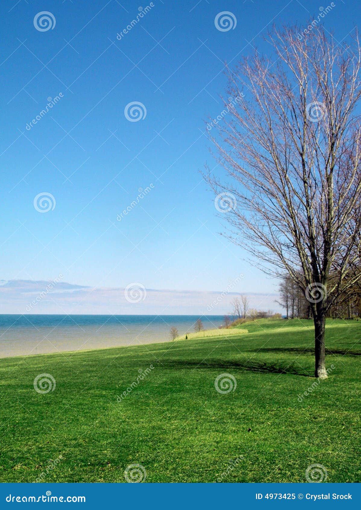 View of Lake in Early Spring Stock Image - Image of tree, grass: 4973425