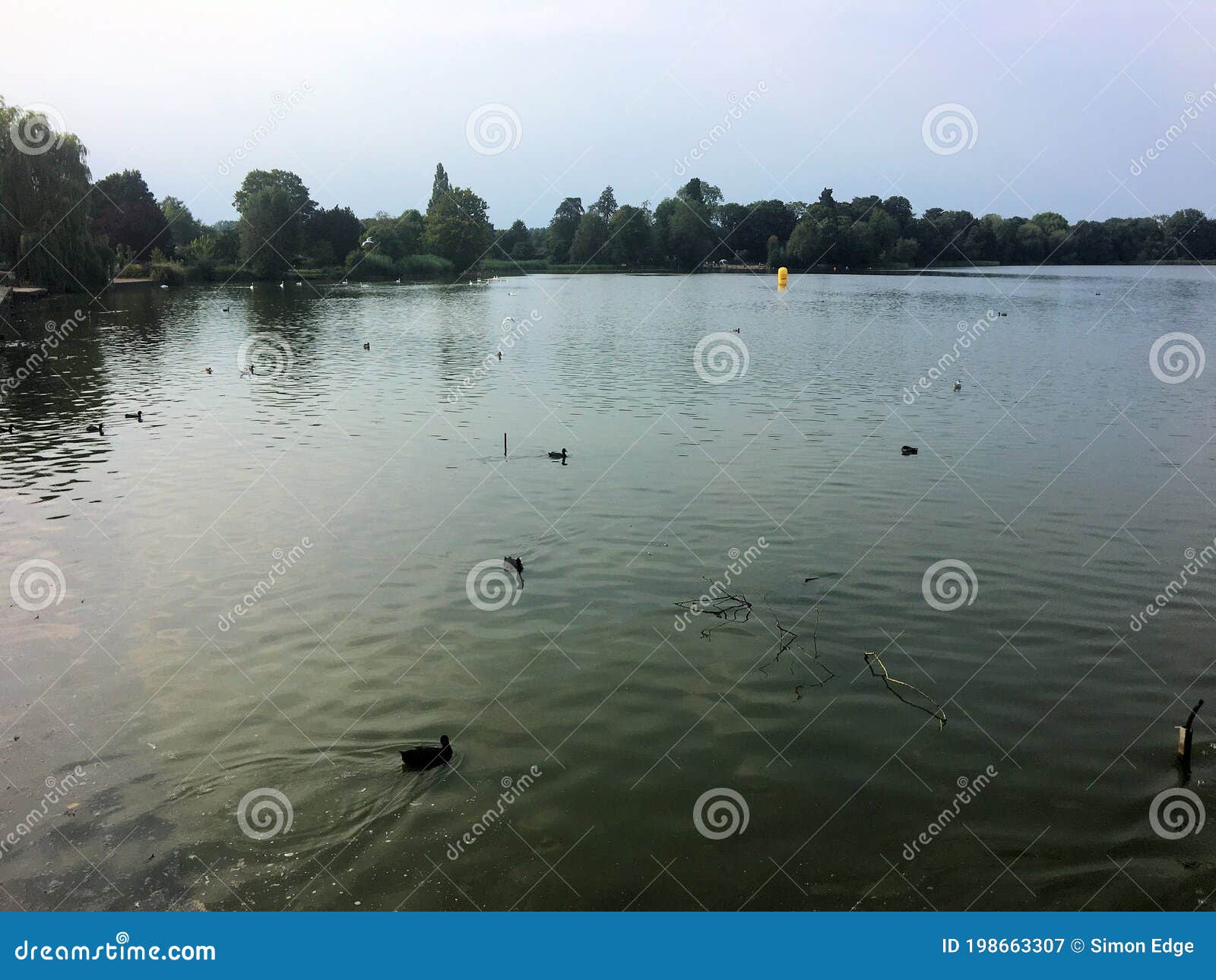 A View of the Lake at Ellesmere Stock Image - Image of ellesmere, tour ...