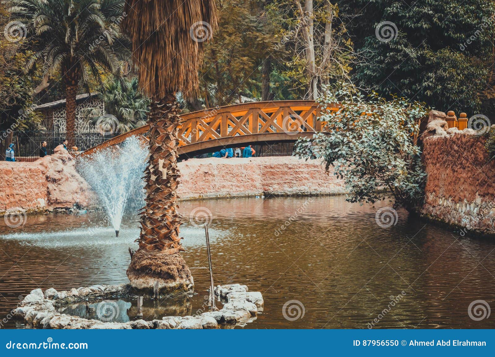 View of Lake Inside Giza Zoo Editorial Image - Image of giza, pond ...