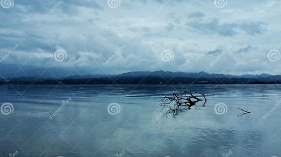 View of Lake Poso, with Tree Branches Stock Photo - Image of poso, view ...