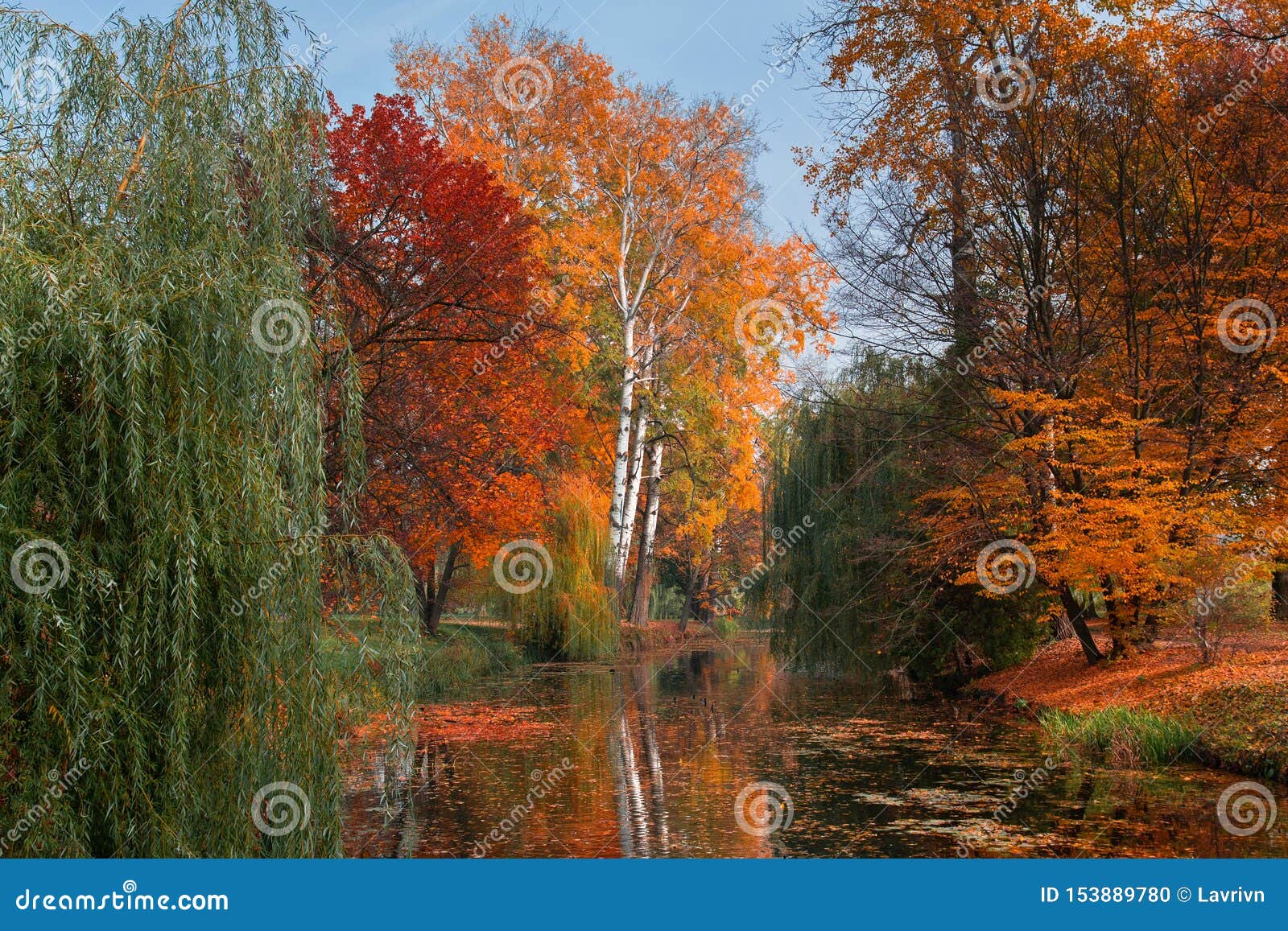 View on Lake Reflections of Fall Foliage in Ukraine Stock Photo - Image ...
