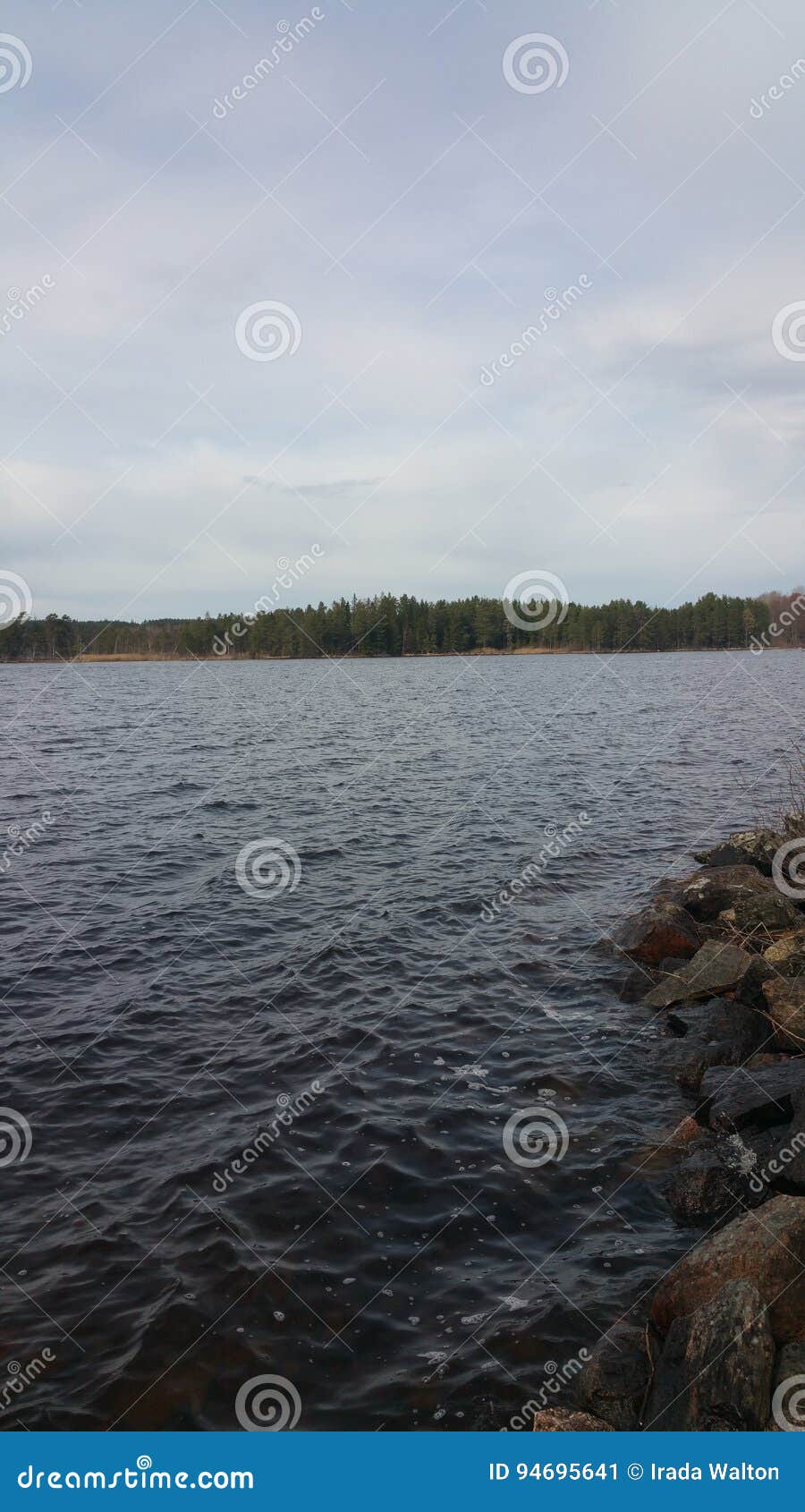 View of the Lake with a Sad Atmosphere Stock Image - Image of nature ...