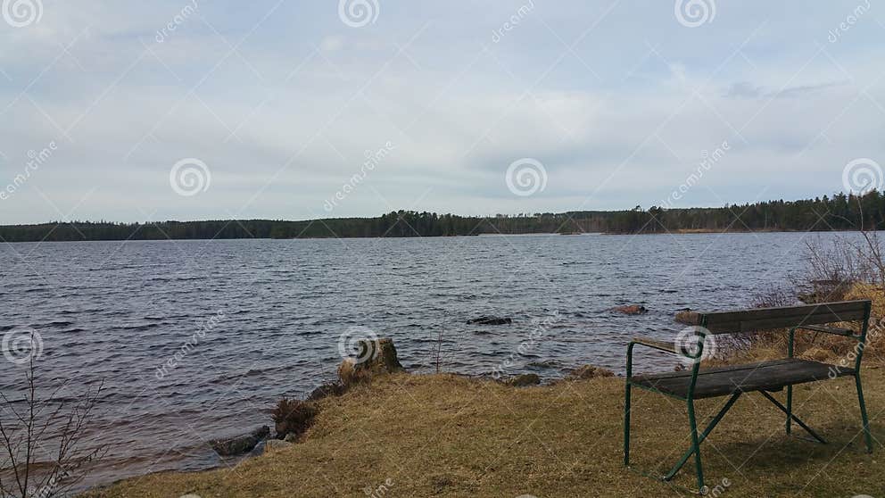 View of the Lake with a Sad Atmosphere Stock Image - Image of landscape ...