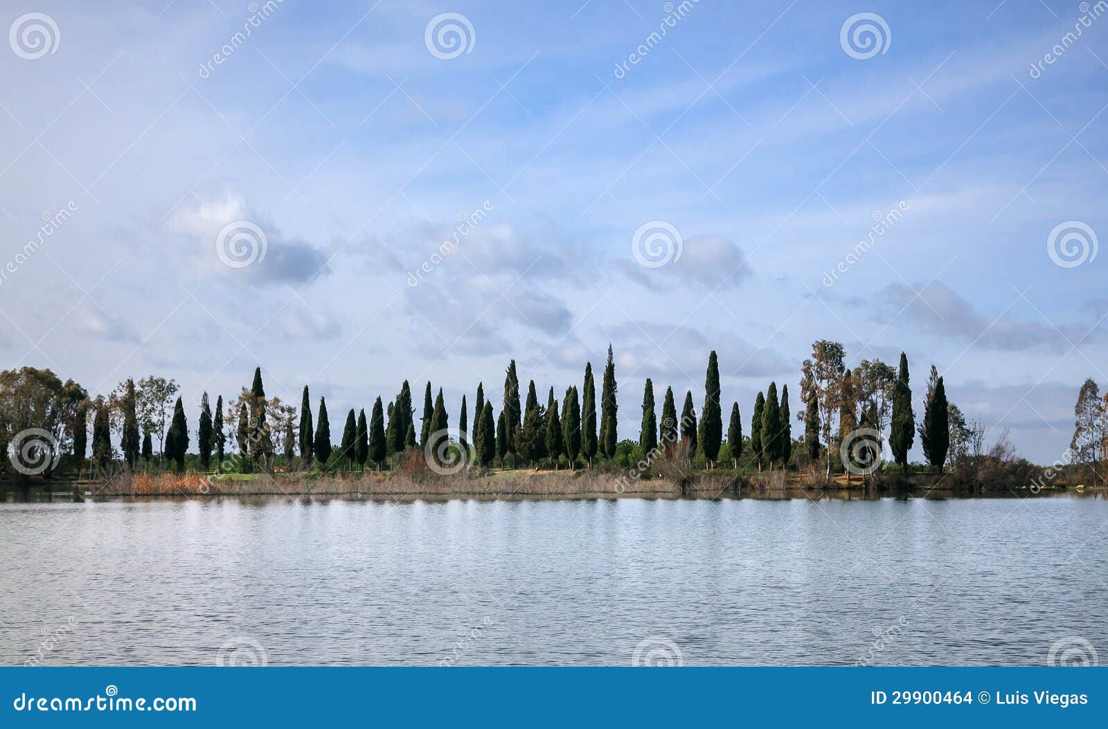 View of Lake with Tree Line Stock Photo - Image of natural, clear: 29900464