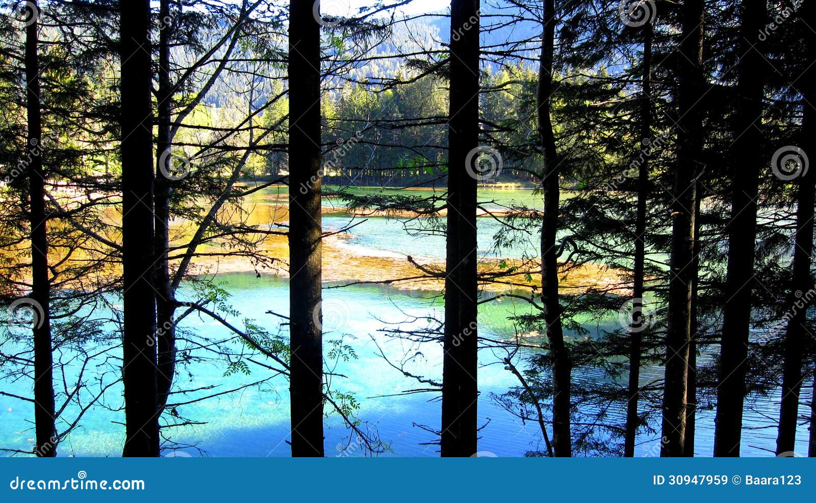 View on the Lake through the Trees Stock Image - Image of nature, sunny ...