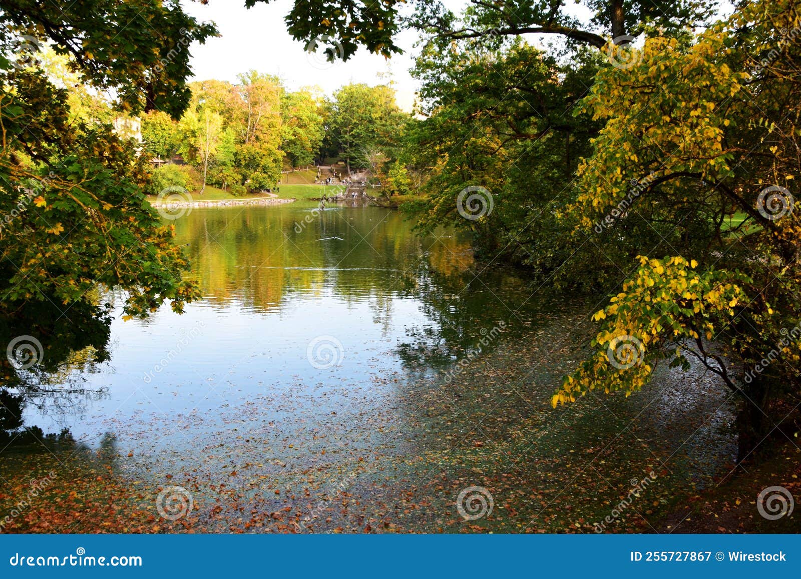 View of a Lake with Trees on Its Coasts Under the Sunlight Stock Image ...
