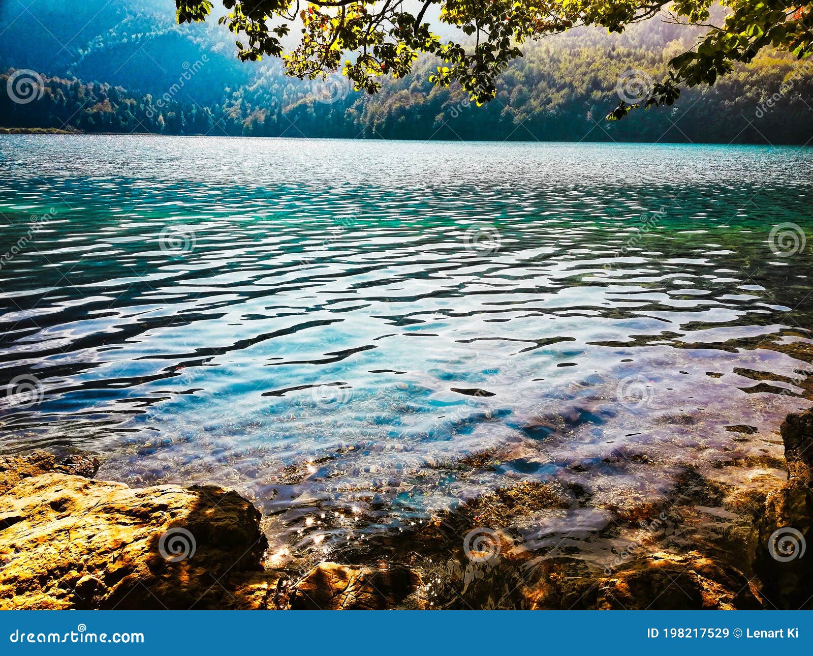 View of the Lake up close stock image. Image of deutschland - 198217529