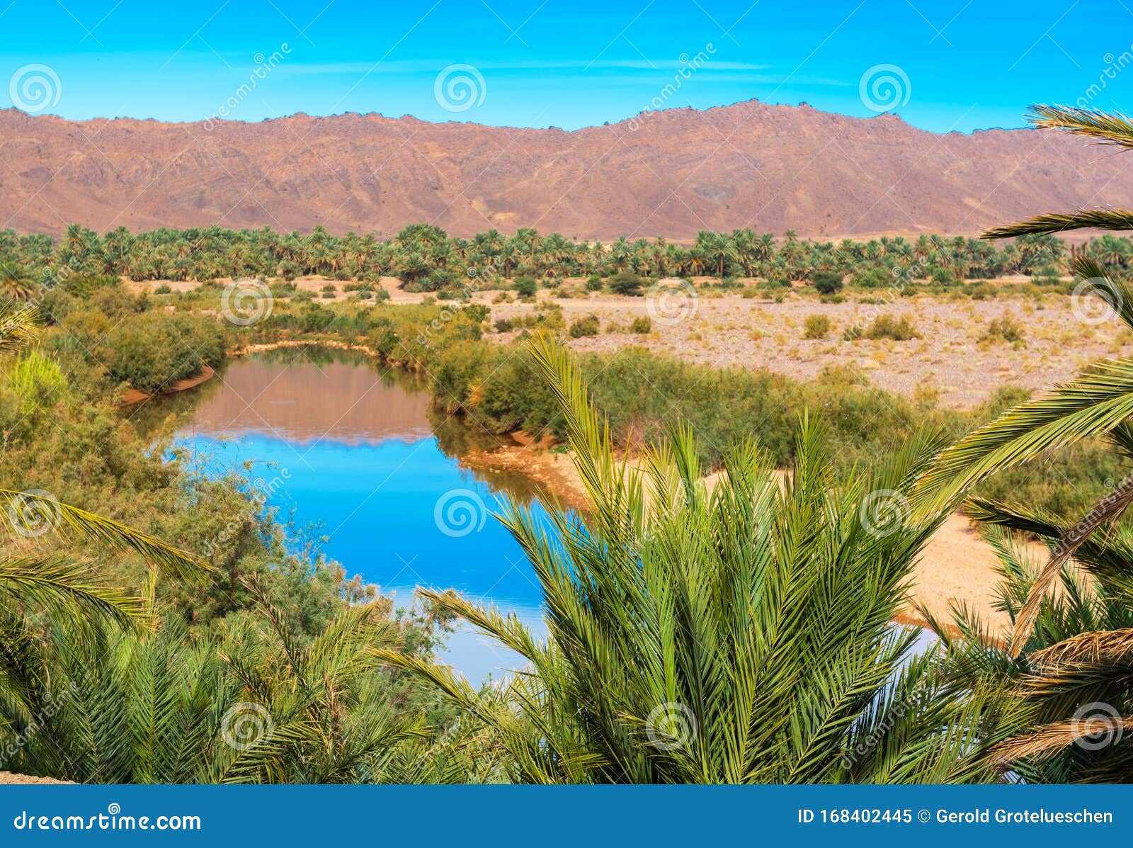 A View of the Landscape of the River Draa, Morocco Stock Image - Image ...