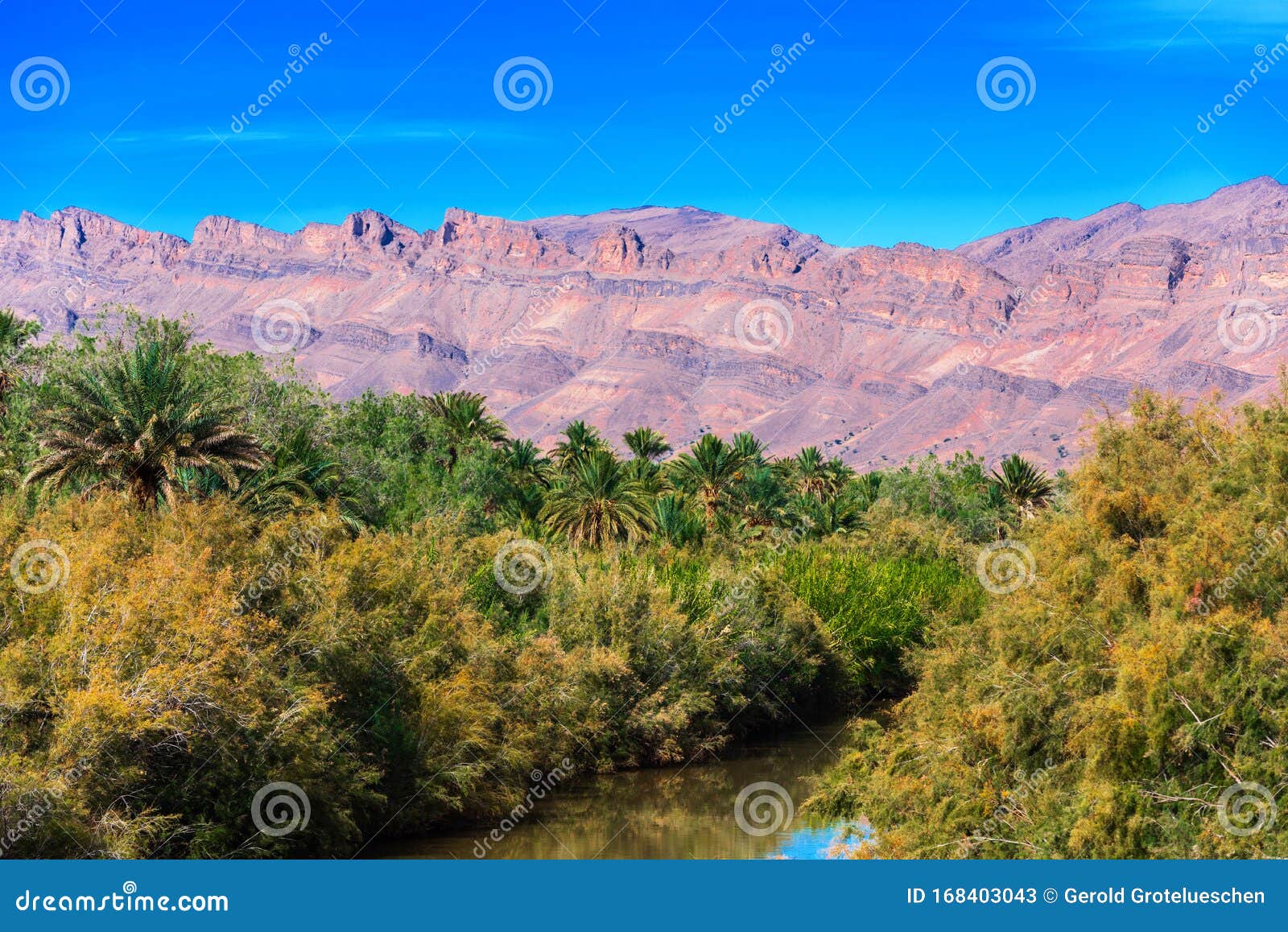 A View of the Landscape of the River Draa, Morocco Stock Image - Image ...