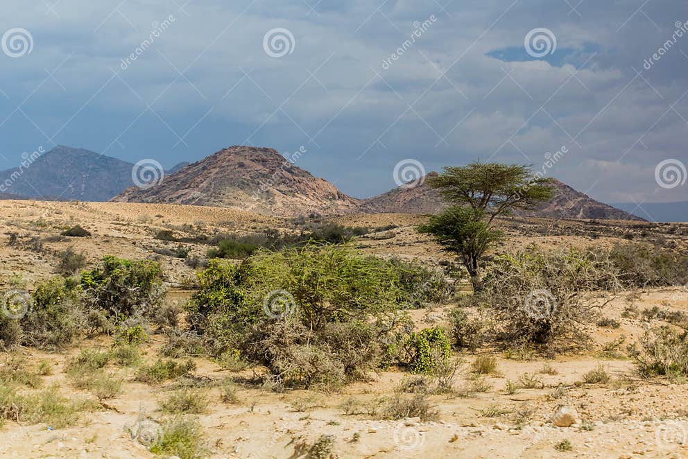 View of a Landscape of Somalila Stock Image - Image of wilderness ...