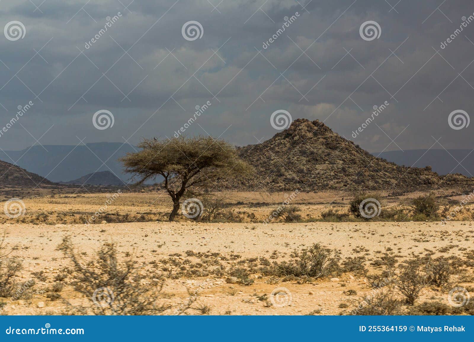 View of a Landscape of Somalila Stock Image - Image of outdoor, view ...