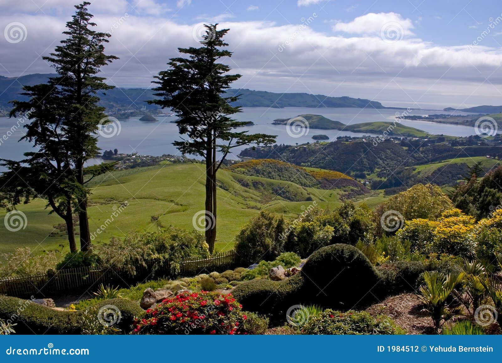 A view from Larnach castle stock photo. Image of green - 1984512