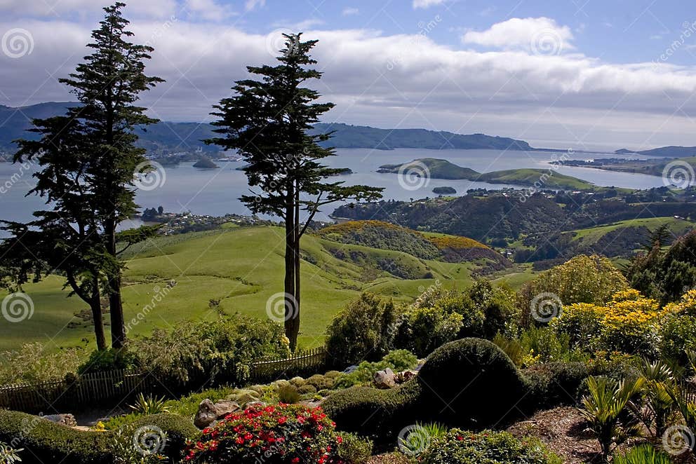 A view from Larnach castle stock photo. Image of green - 1984512
