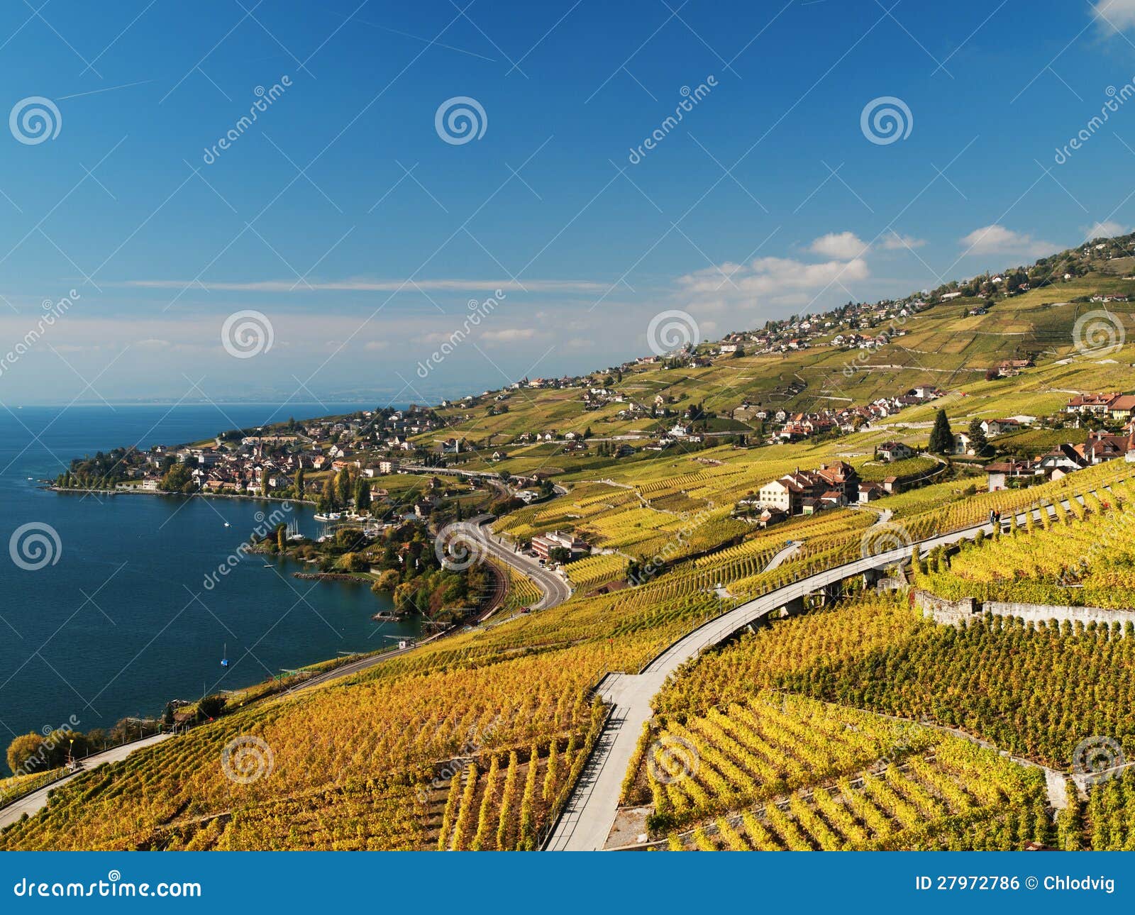 View in Lavaux Towards Cully Stock Photo - Image of heritage, making ...