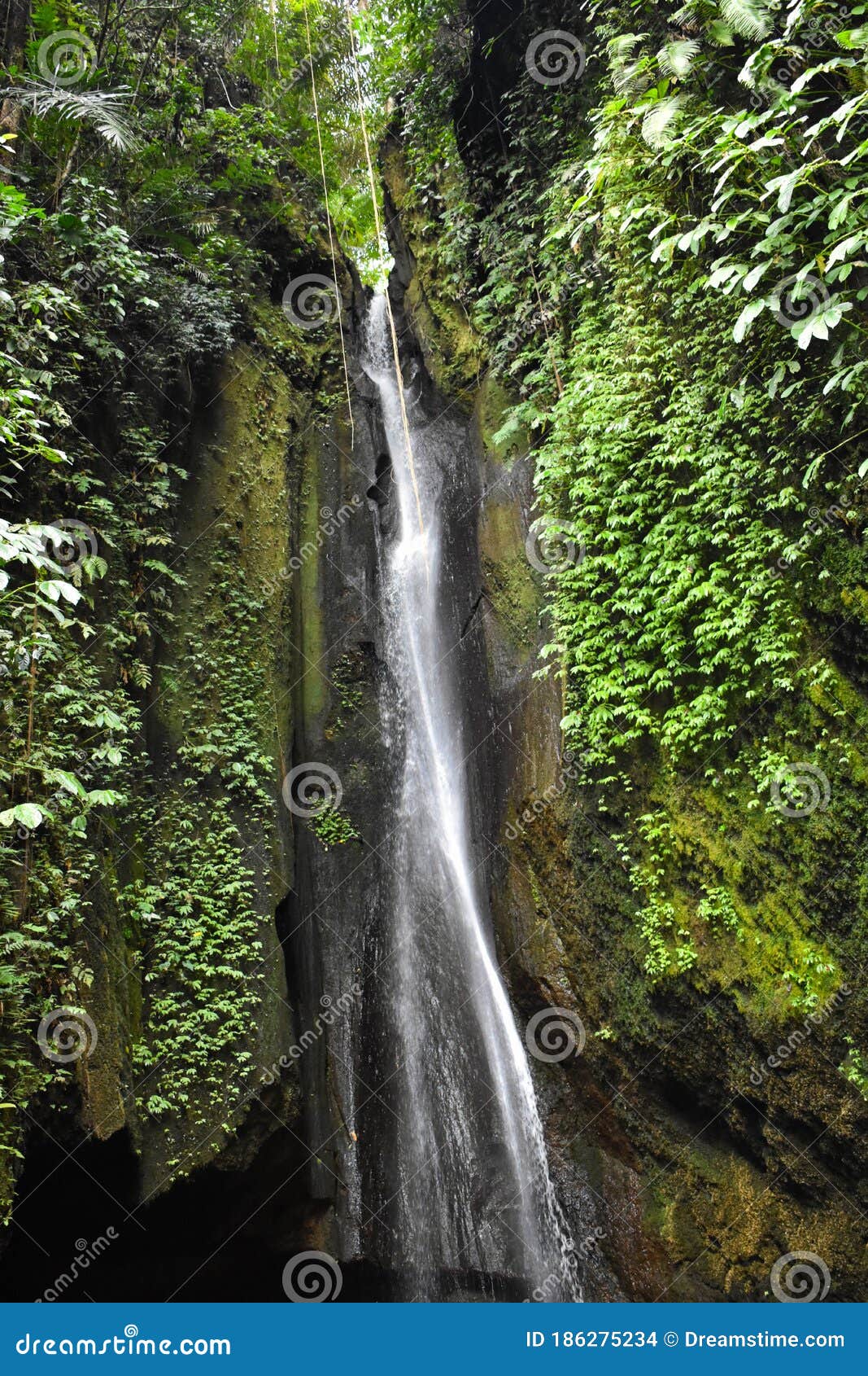 View of Leke Leke Waterfall Located in the Norh of Bali Stock Photo ...