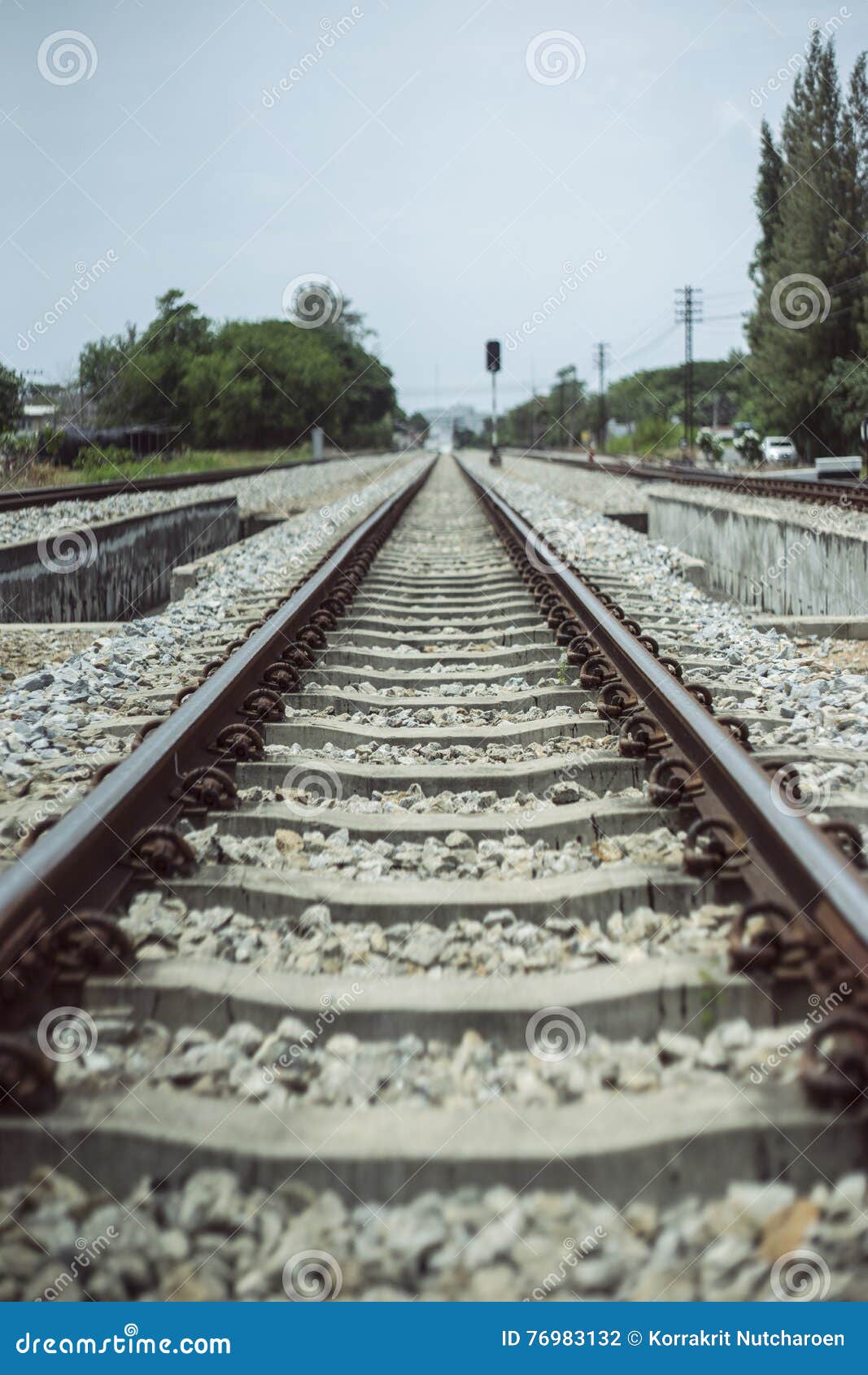 View of the Length of Railway with Green Tree at Left and Right Side of ...