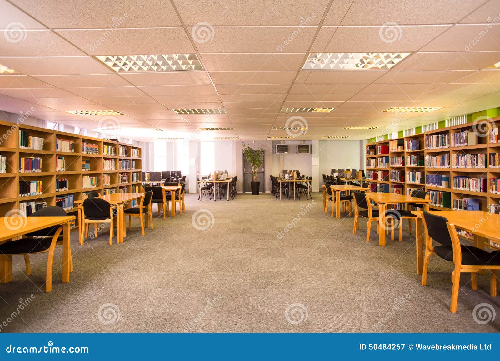 View of library stock image. Image of education, indoors - 50484267