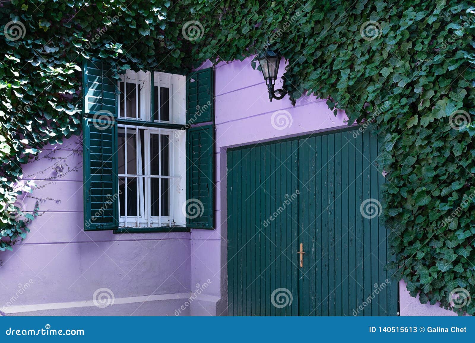 View of the Lilac House Which is Wrapped in Wild Grapes Stock Image ...