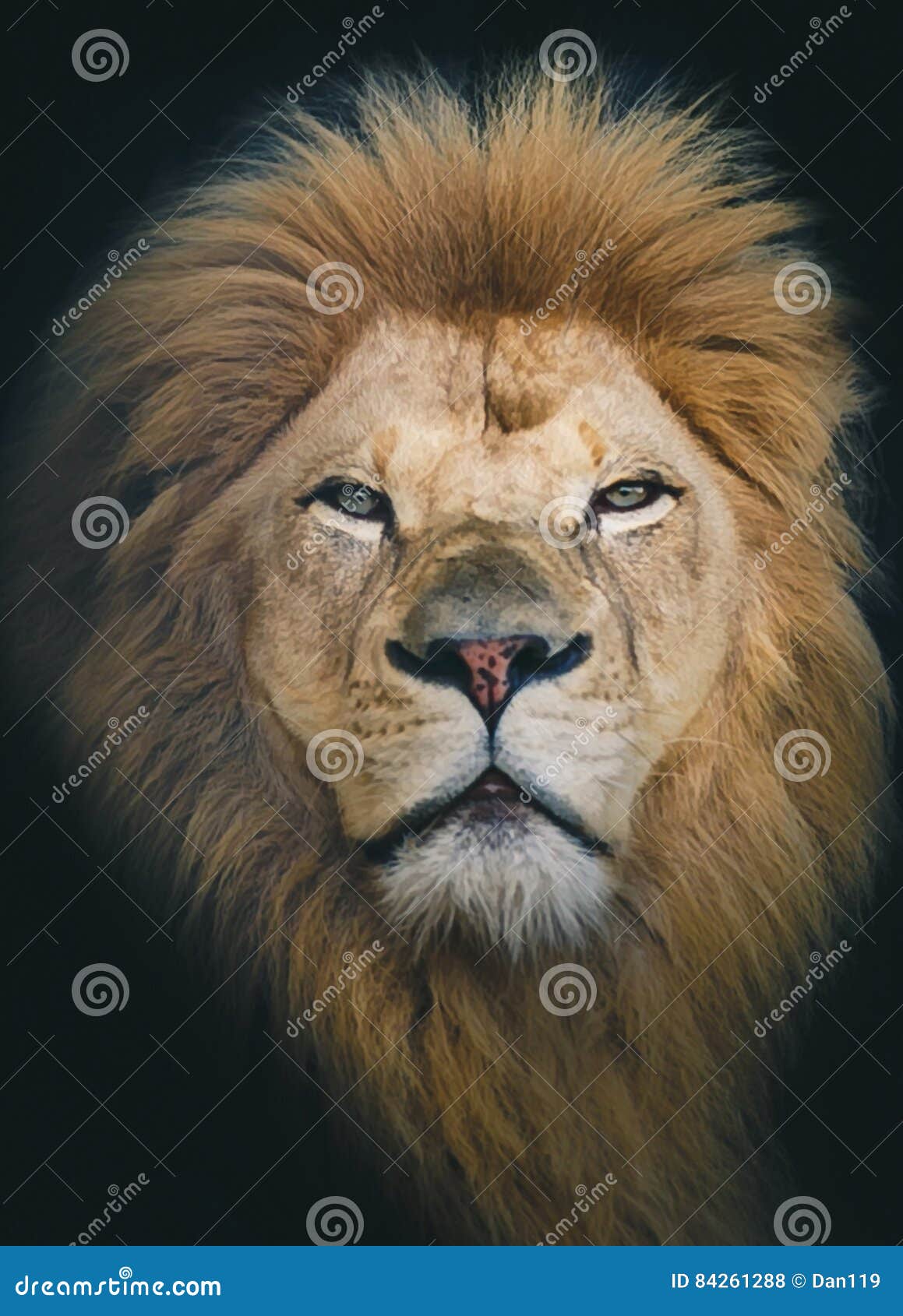Lion King Savannah Stock Images - Download 5,957 Royalty Free Photos