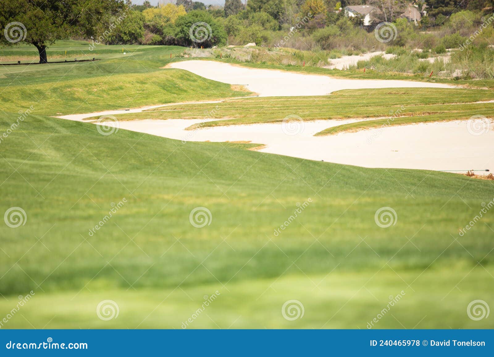 Golf course sand traps stock photo. Image of swing, crowd - 240465978