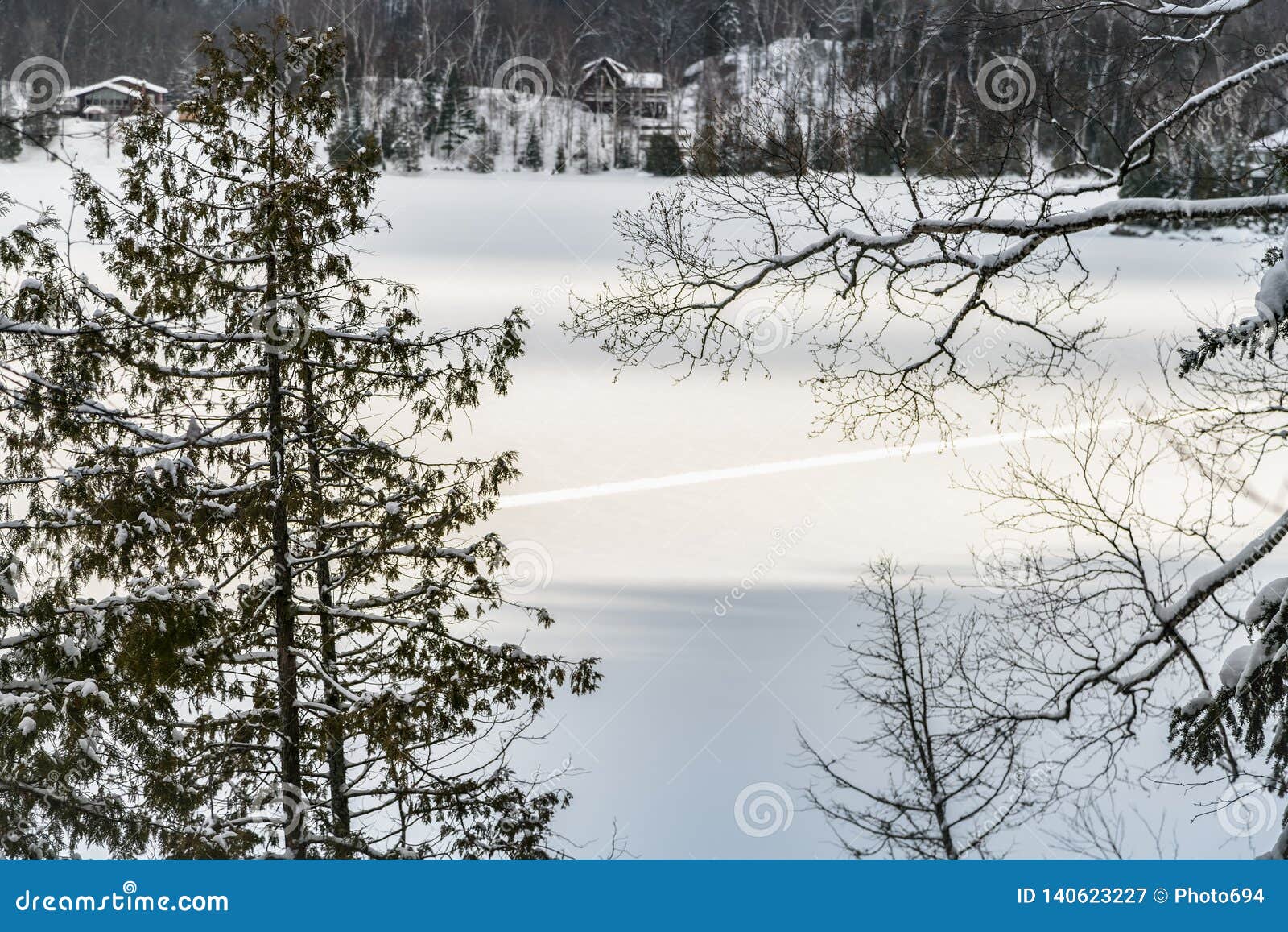 View Looking Out Through Evergreen Trees Down Onto A Snow Covered Lake
