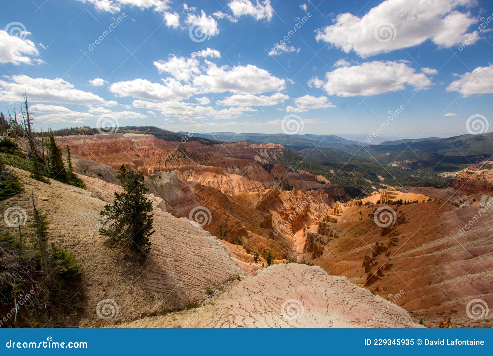 Cedar Breaks National Monument Stock Image - Image of park, pine: 229345935