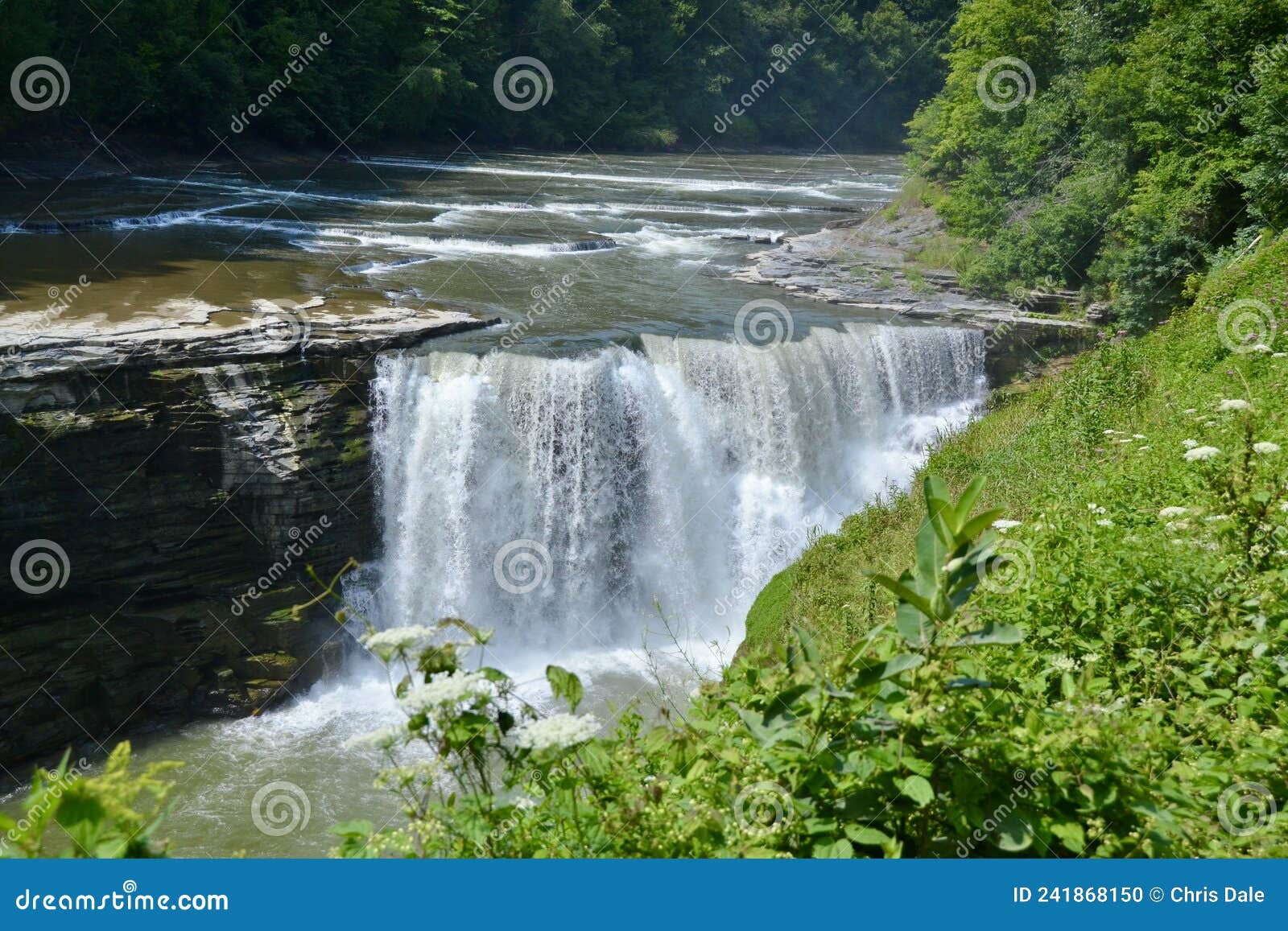 View of Lower Falls Along the Genesee River at Letchworth State Park ...