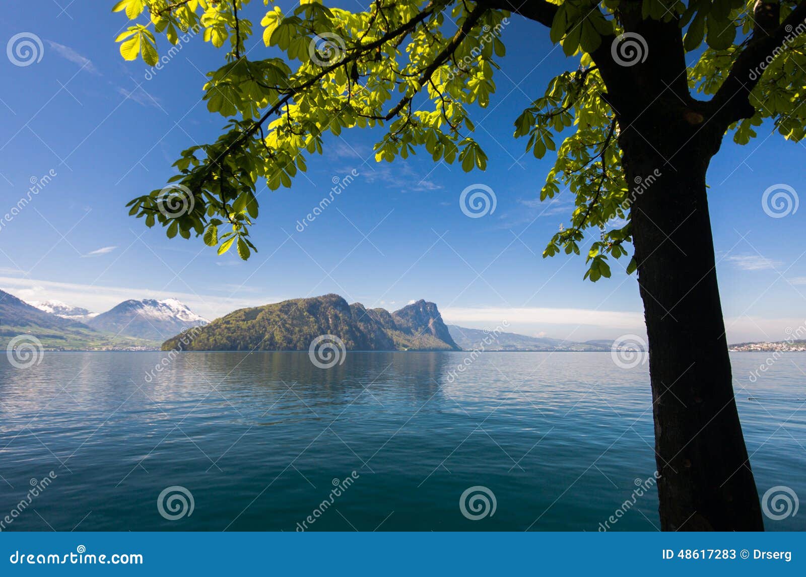 View of Lucerne Lake with Swiss Alps in Spring Stock Image - Image of ...