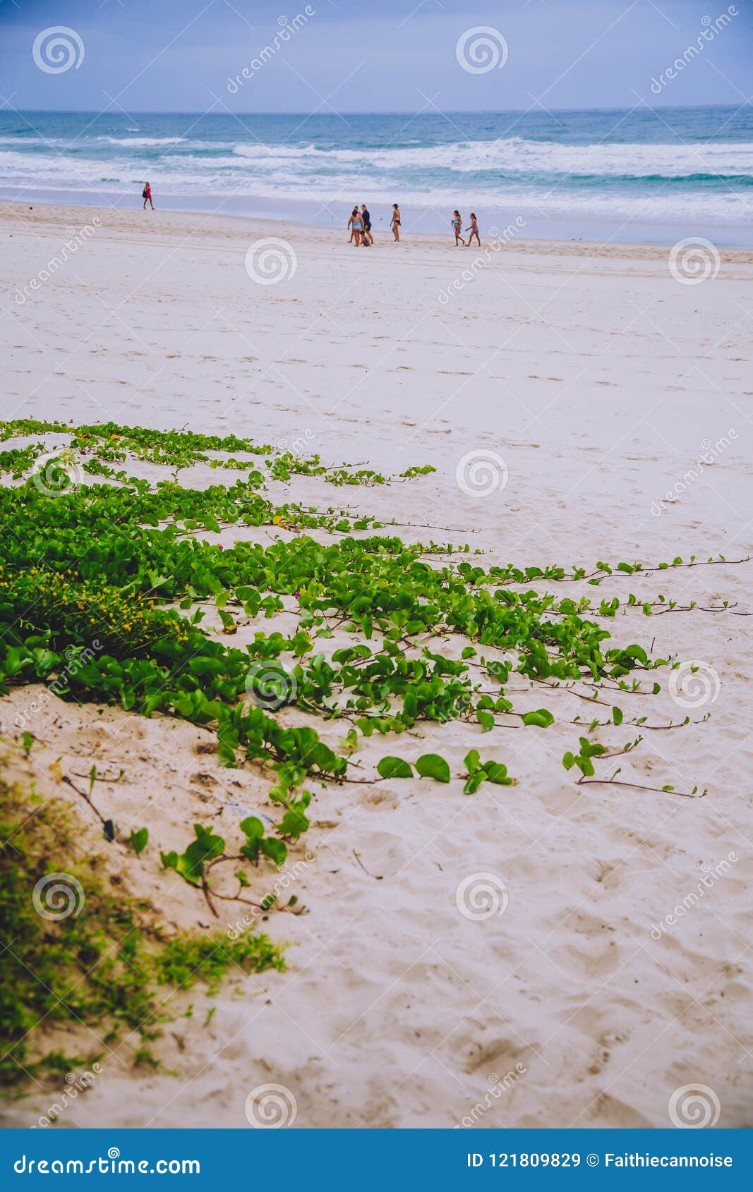 View of Main Beach on the Gold Coast Editorial Stock Image - Image of ...