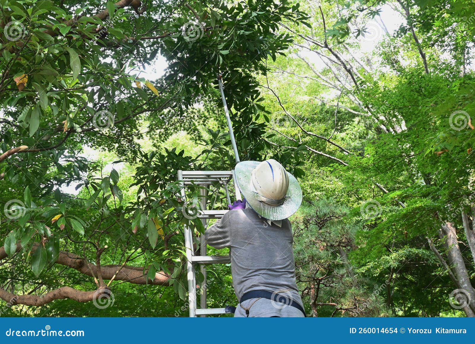 A View of the Maintenance Work in the Park. Stock Photo - Image of ...