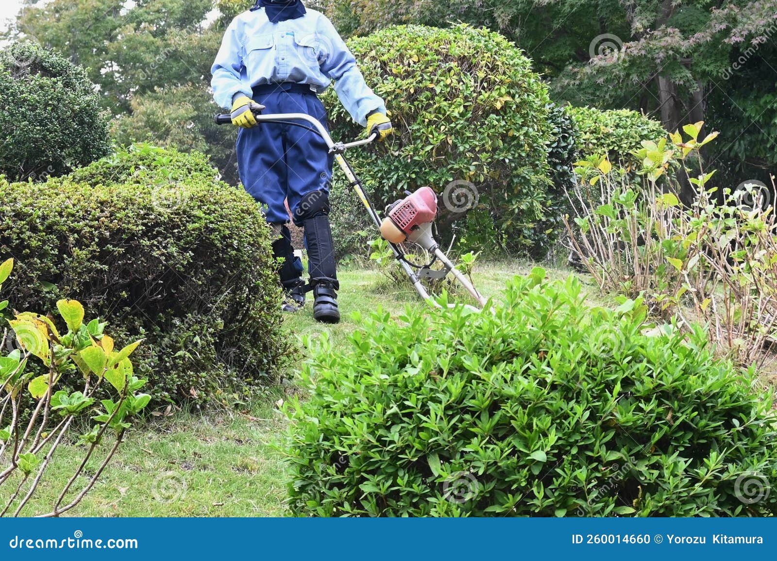 A View of the Maintenance Work in the Park. Stock Photo - Image of ...
