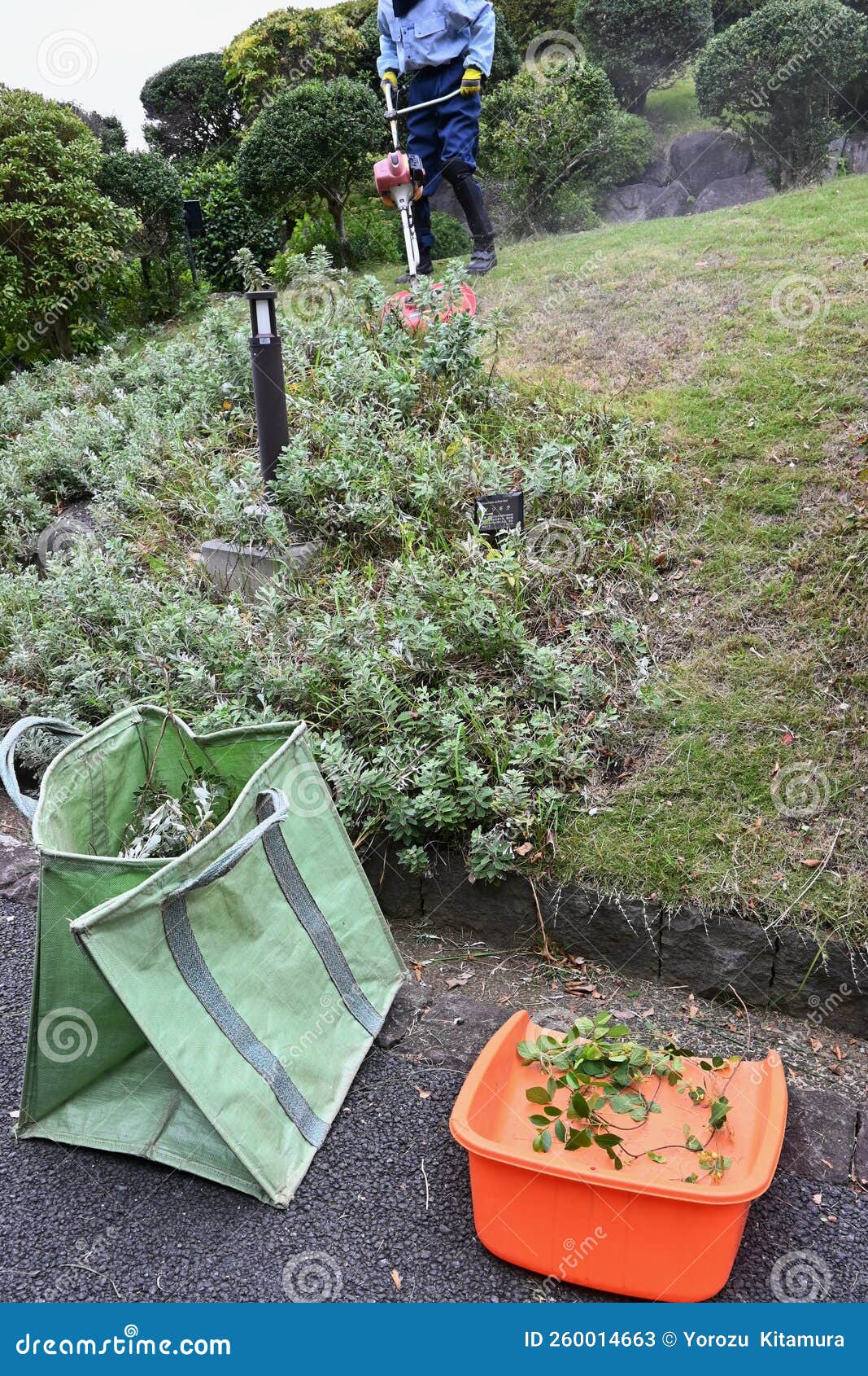 A View of the Maintenance Work in the Park. Stock Image - Image of park ...